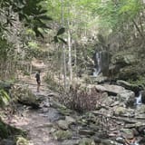 Devil's Racetrack Trail, Tennessee - 592 Reviews, Map | AllTrails