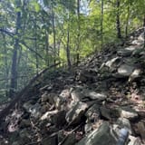 Devil's Racetrack Trail, Tennessee - 591 Reviews, Map | AllTrails