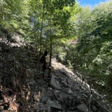 Devil's Racetrack Trail, Tennessee - 592 Reviews, Map | AllTrails