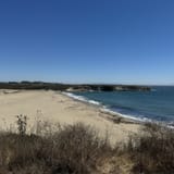 Old Cove Landing Trail, California - 4,160 Reviews, Map | AllTrails