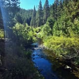 Sagehen Creek Loop, California - 1,097 Reviews, Map | AllTrails