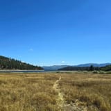 Sagehen Creek Loop, California - 1,097 Reviews, Map | AllTrails