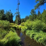 Sagehen Creek Loop, California - 1,097 Reviews, Map | AllTrails