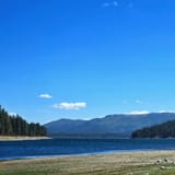 Sagehen Creek Loop, California - 1,097 Reviews, Map | AllTrails