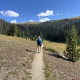 Timber Lake Trail, Colorado - 711 Reviews, Map | AllTrails