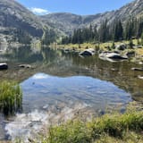Timber Lake Trail, Colorado - 711 Reviews, Map | AllTrails