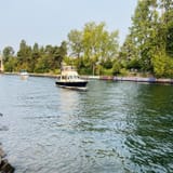 WA 520 Trail, Washington - 716 Reviews, Map | AllTrails