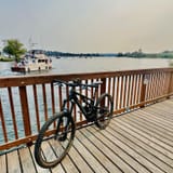 WA 520 Trail, Washington - 708 Reviews, Map | AllTrails