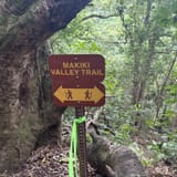Makiki Valley Trail, Oahu, Hawaii - 579 Reviews, Map | AllTrails