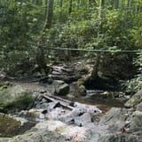 Boone Fork Trail, North Carolina - 3,746 Reviews, Map | AllTrails