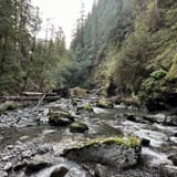 Boulder River Trail, Washington - 1,969 Reviews, Map | AllTrails
