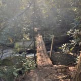 Graybeard Trail [CLOSED], North Carolina - 1,833 Reviews, Map | AllTrails