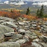 Mount Healy Overlook Trail, Alaska - 3,026 Reviews, Map | AllTrails