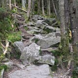 Killington Peak via Bucklin Trail, Vermont - 2,072 Reviews, Map | AllTrails