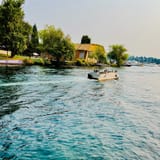 WA 520 Trail, Washington - 716 Reviews, Map | AllTrails