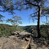Fiery Gizzard Trail to Raven's Point, Tennessee - 1,141 Reviews, Map ...