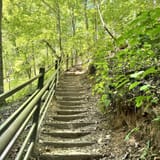 Winding Stairs Loop, Tennessee - 795 Reviews, Map | AllTrails