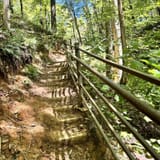 Winding Stairs Loop, Tennessee - 795 Reviews, Map | AllTrails