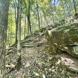 Winding Stairs Loop, Tennessee - 795 Reviews, Map | AllTrails