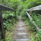 Miner's Ridge and James Irvine Loop, California - 1,925 Reviews, Map ...