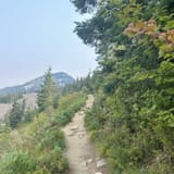 Ira Spring Memorial Trail, Washington - 2,440 Reviews, Map | AllTrails