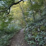 Hawksbill Loop Trail, Virginia - 4,995 Reviews, Map | AllTrails