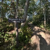 Hawksbill Loop Trail, Virginia - 4,995 Reviews, Map | AllTrails