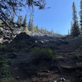 Little Lougheed, Alberta, Canada - 2,193 Reviews, Map | AllTrails