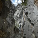Fletcher Canyon Trail, Nevada - 3,220 Reviews, Map | AllTrails