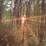 Red Town and Wildside Trails, Washington - 639 Reviews, Map | AllTrails