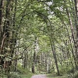 Red Town and Wildside Trails, Washington - 639 Reviews, Map | AllTrails