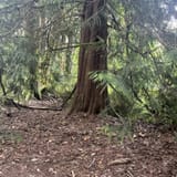 Red Town and Wildside Trails, Washington - 646 Reviews, Map | AllTrails