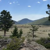 Cub Lake Loop, Colorado - 2,306 Reviews, Map | AllTrails
