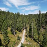 Jenkinson Lake Loop, California - 3,026 Reviews, Map | AllTrails