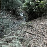 Canyon Trail to Spring Creek Trail Loop, California - 1,495 Reviews ...