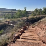 Devil's Backbone Nature Trail, Colorado - 2,249 Reviews, Map | AllTrails