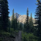 Mount of the Holy Cross Trail, Colorado - 1,579 Reviews, Map | AllTrails