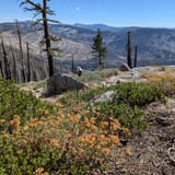 Ralston Peak, California - 1,689 Reviews, Map | AllTrails
