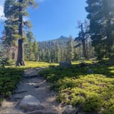Rubicon Peak Trail, California - 1,231 Reviews, Map | AllTrails