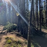 Raspberry Mountain Trail via Ring the Peak Trail, Colorado - 2,166 ...
