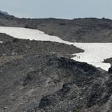 Muir Snowfield Ski Tour, Washington - 1,691 Reviews, Map | AllTrails