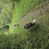 Edgecliff Loop, New York - 327 Reviews, Map | AllTrails