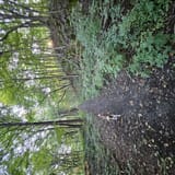 Edgecliff Loop, New York - 319 Reviews, Map | AllTrails