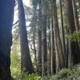 Berry Glen and Lady Bird Grove Trail , California - 589 Reviews, Map ...