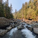 Staircase Rapids Loop, Washington - 3,193 Reviews, Map | AllTrails