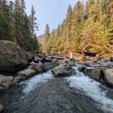 Staircase Rapids Loop, Washington - 3,193 Reviews, Map | AllTrails