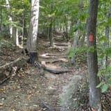 Natural Bridge Trail and Rock Shelter Trail Loop, Ohio - 1,775 Reviews ...