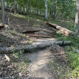 White Bison Loop, Missouri - 2,670 Reviews, Map | AllTrails