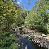 Cedar Falls Trail, Arkansas - 2,252 Reviews, Map | AllTrails