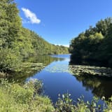Farmsite Simmons Pond Loop, Rhode Island - 686 Reviews, Map | AllTrails